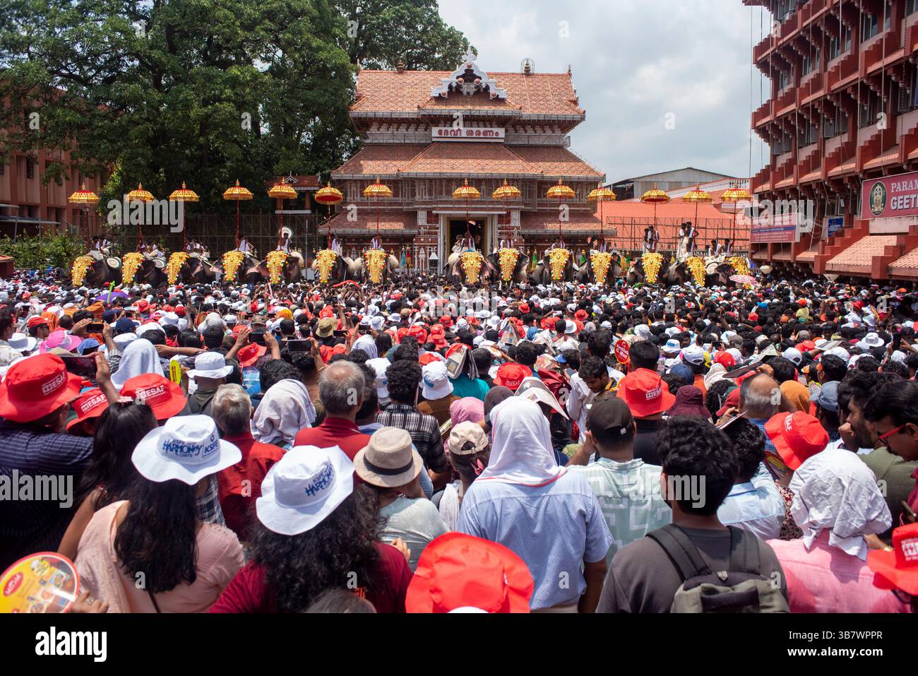 A crowd of participants is seen as elephants with umbrellas line up at ...