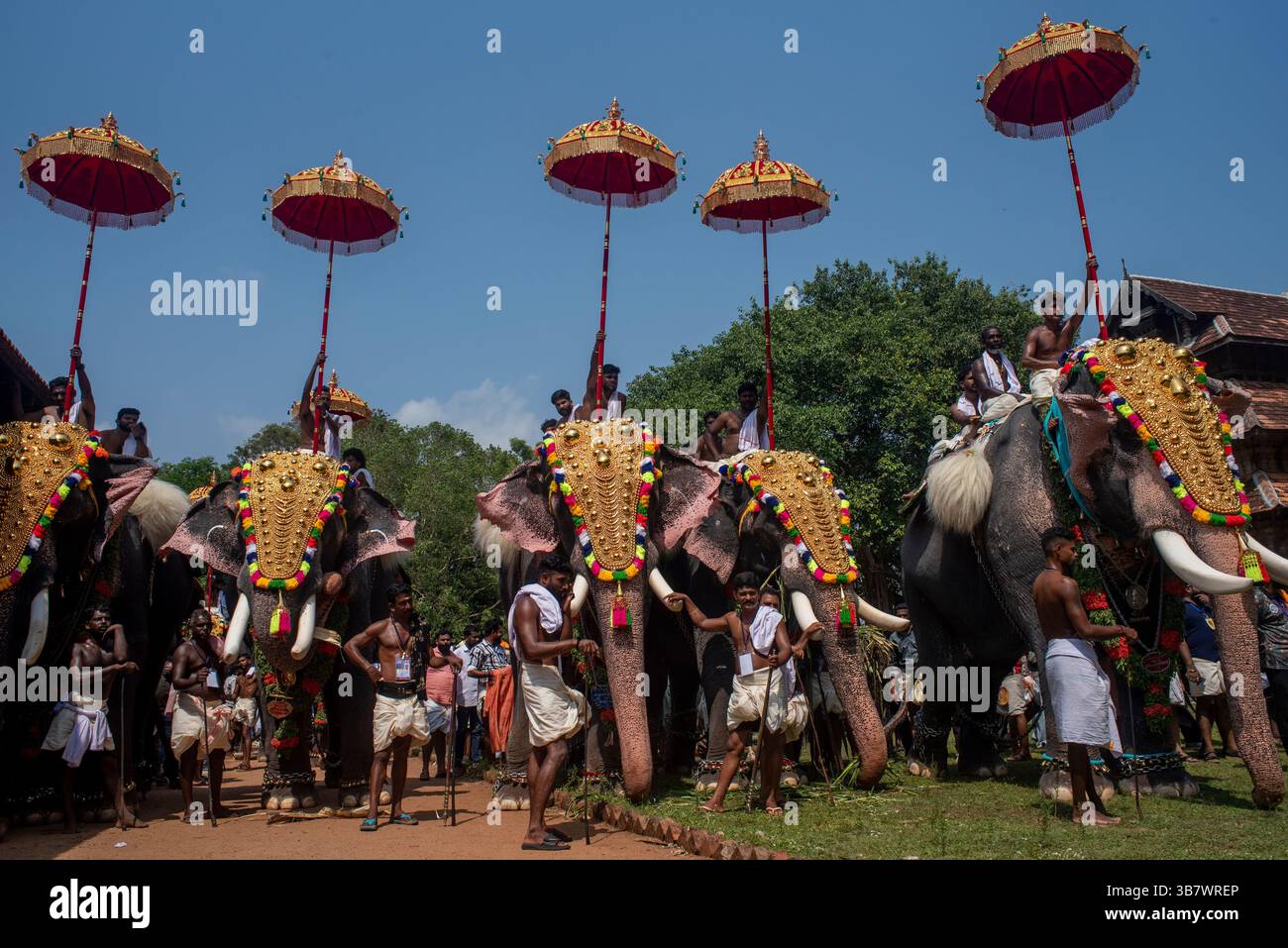 Part of the 15 elepants enter the Vadakkunnathan temple for a ritual ...