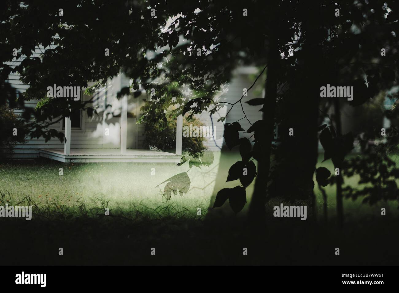 Double exposure of an old farmhouse and a tree in shadow, spring green ...