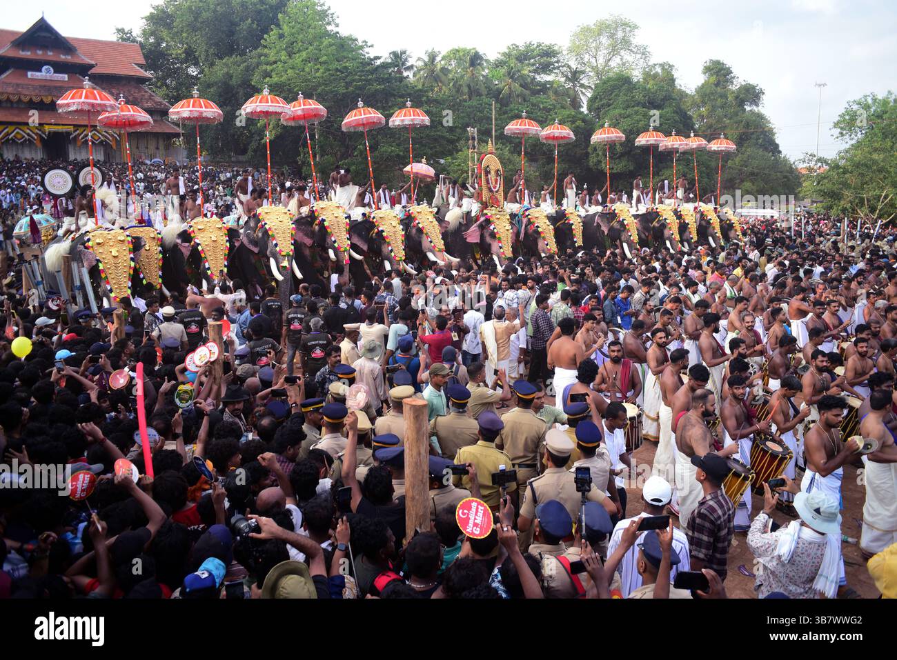 15 Elephants from Thiruvambadi temple arrive to face the 15 Elephants ...