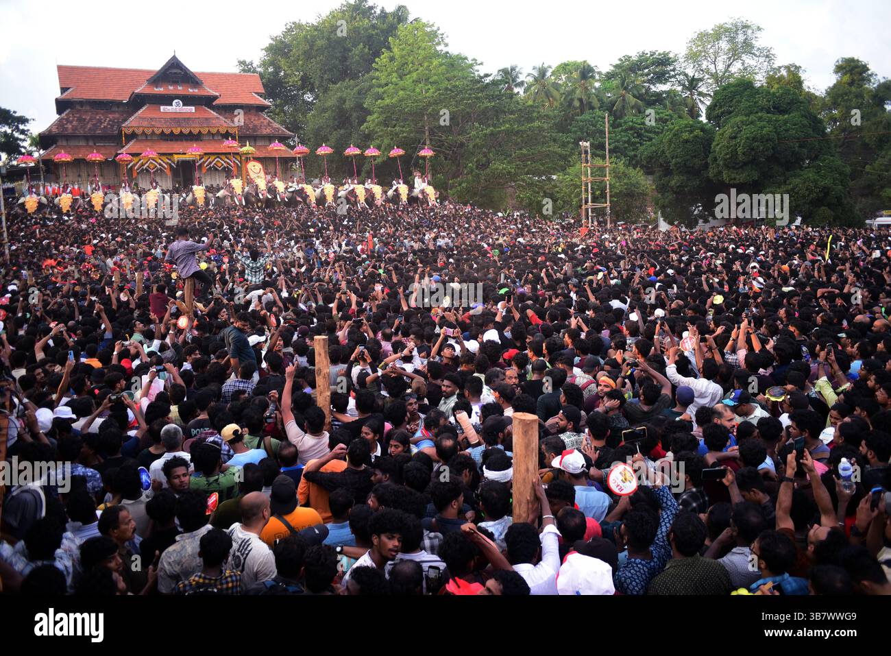 Paramekkavu temple Elephants face Thiruvambadi temple Elephants outside ...