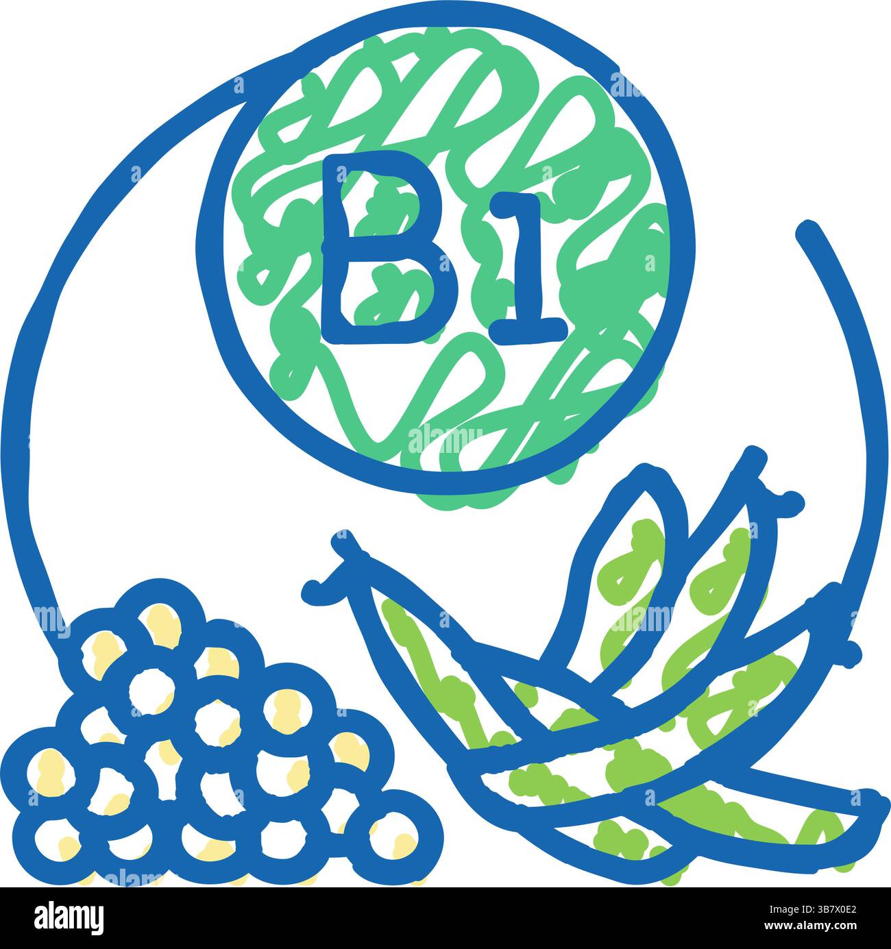 b1 vitamin icon doodle illustration Stock Vector Image & Art - Alamy