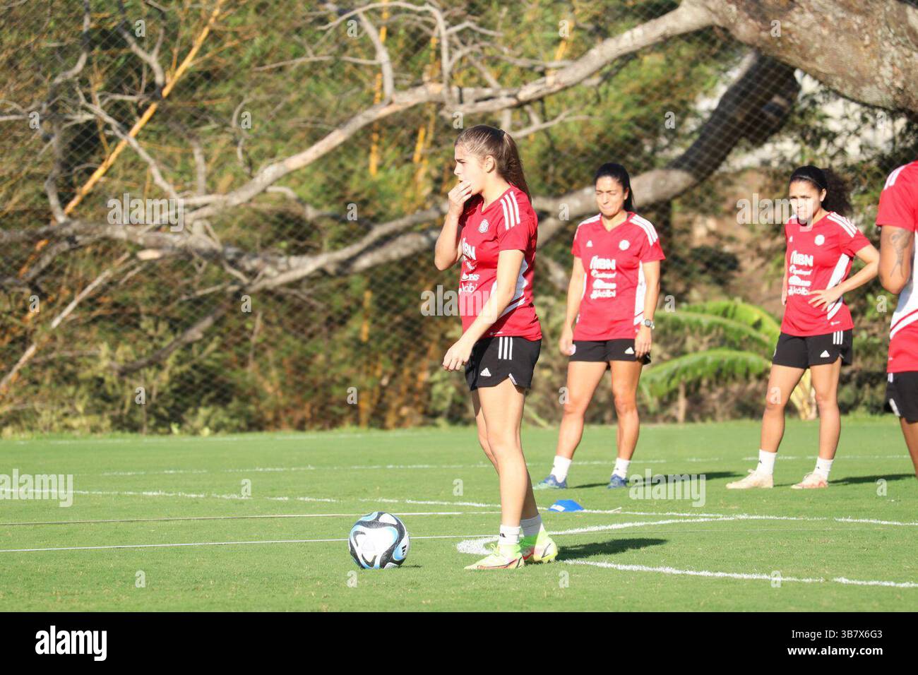 Parte femenina hi-res stock photography and images - Alamy