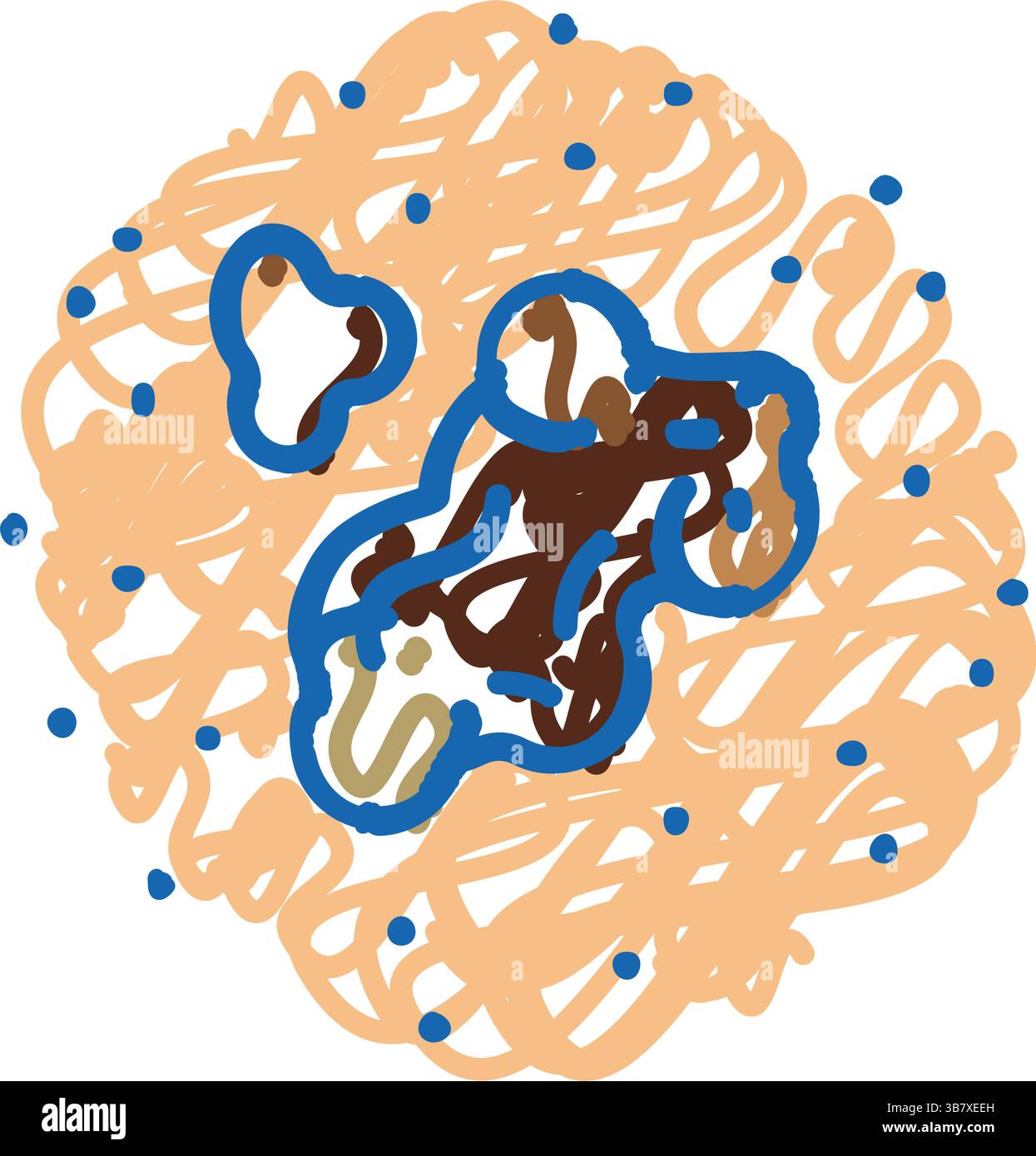 multiple colors mole melanoma icon doodle illustration Stock Vector Image & Art - Alamy