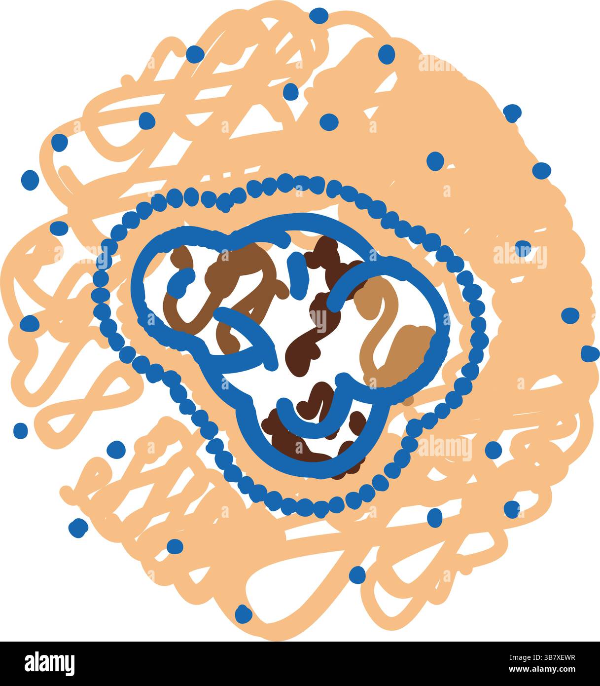 changing size chape color mole melanoma icon doodle illustration Stock Vector Image & Art - Alamy