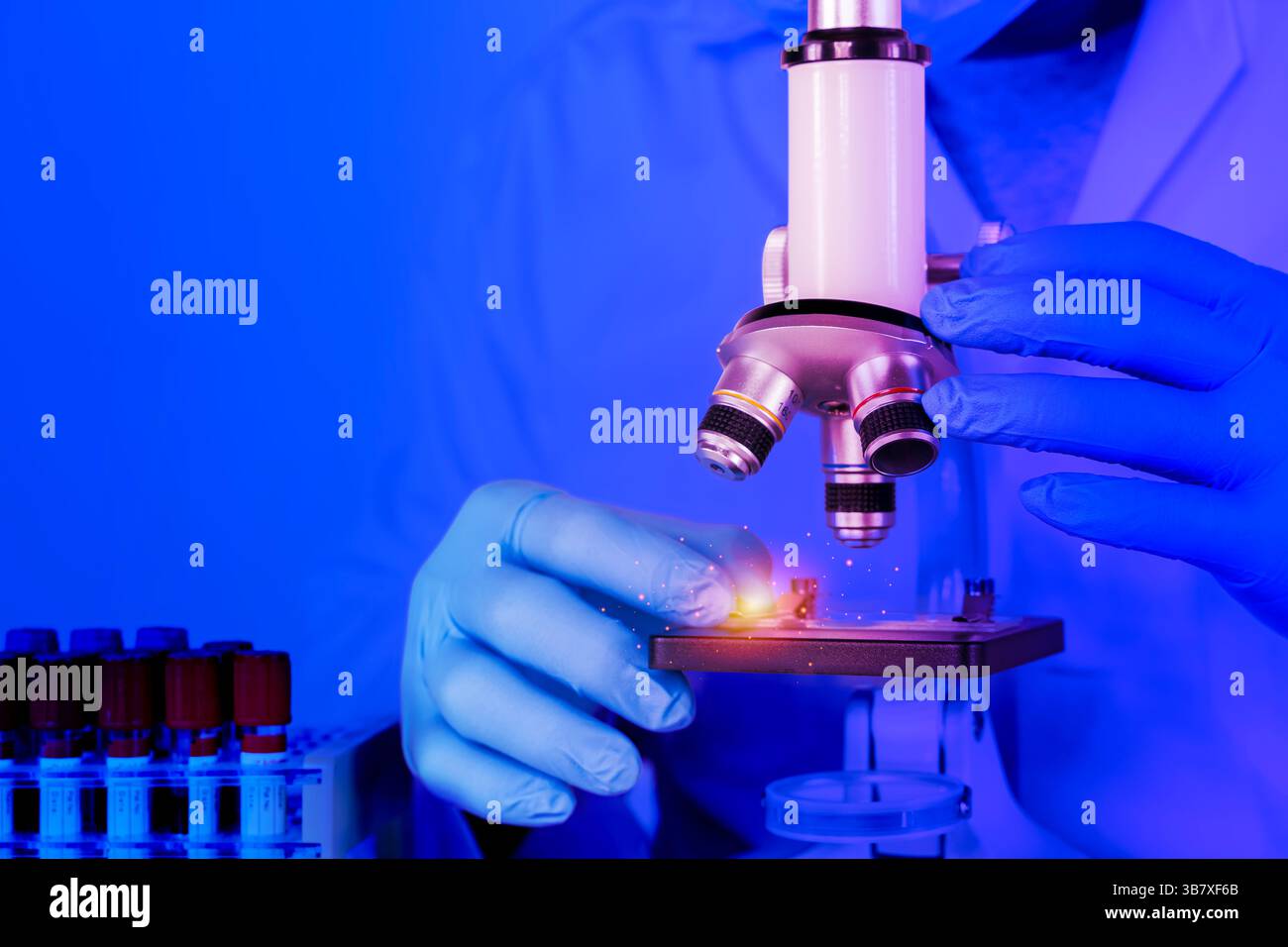 Man technician is examining a histological sample, a biopsy in the ...