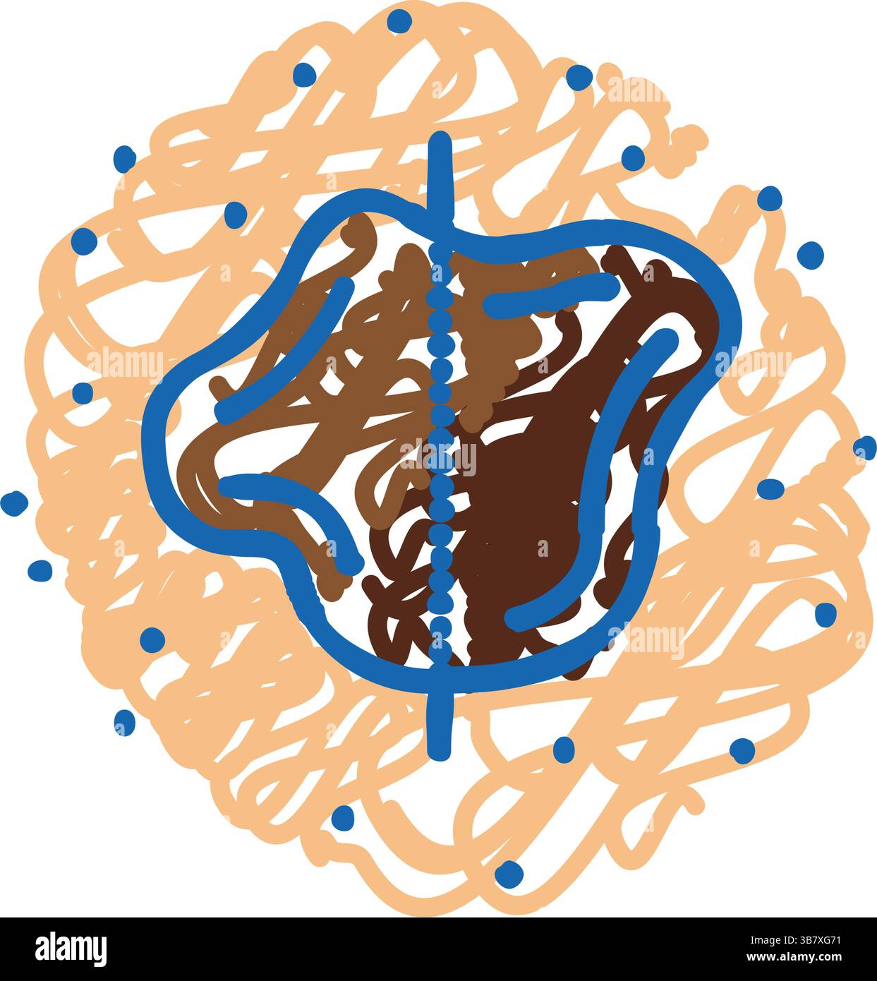 asymmetrical mole melanoma icon doodle illustration Stock Vector Image & Art - Alamy