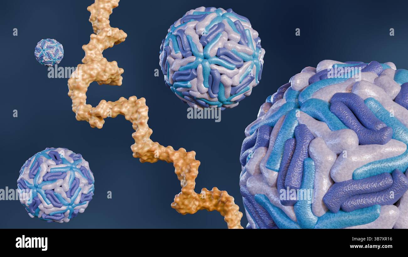 A 3d rendering of single stranded RNA molecule appears to be emerging ...