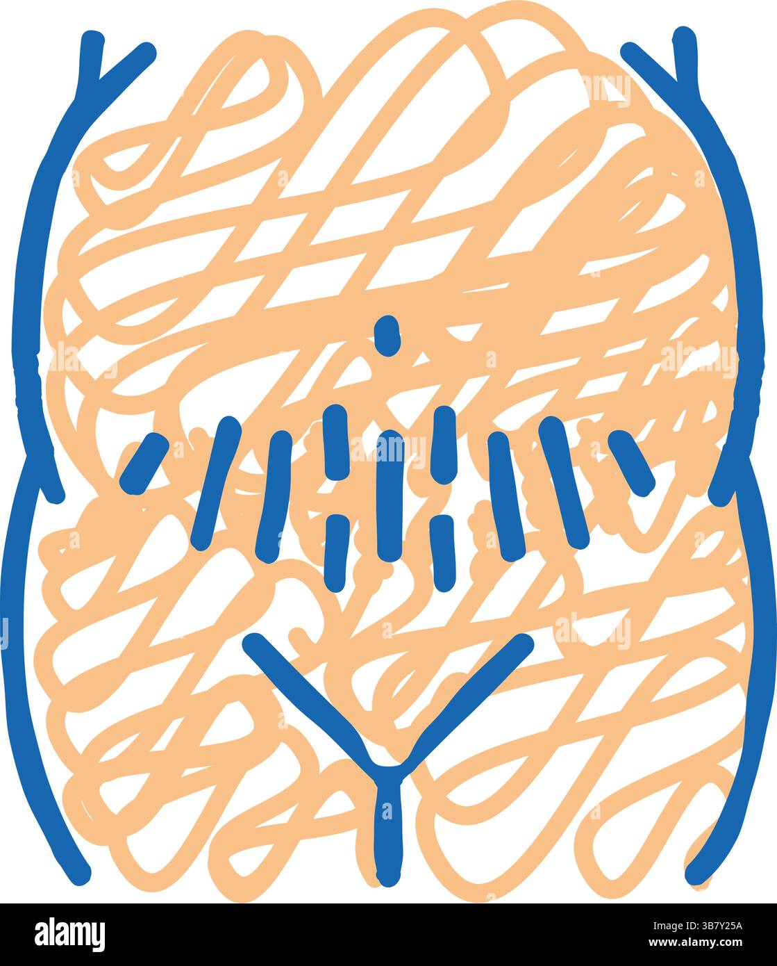 pregnancy stretch marks icon doodle illustration Stock Vector Image ...