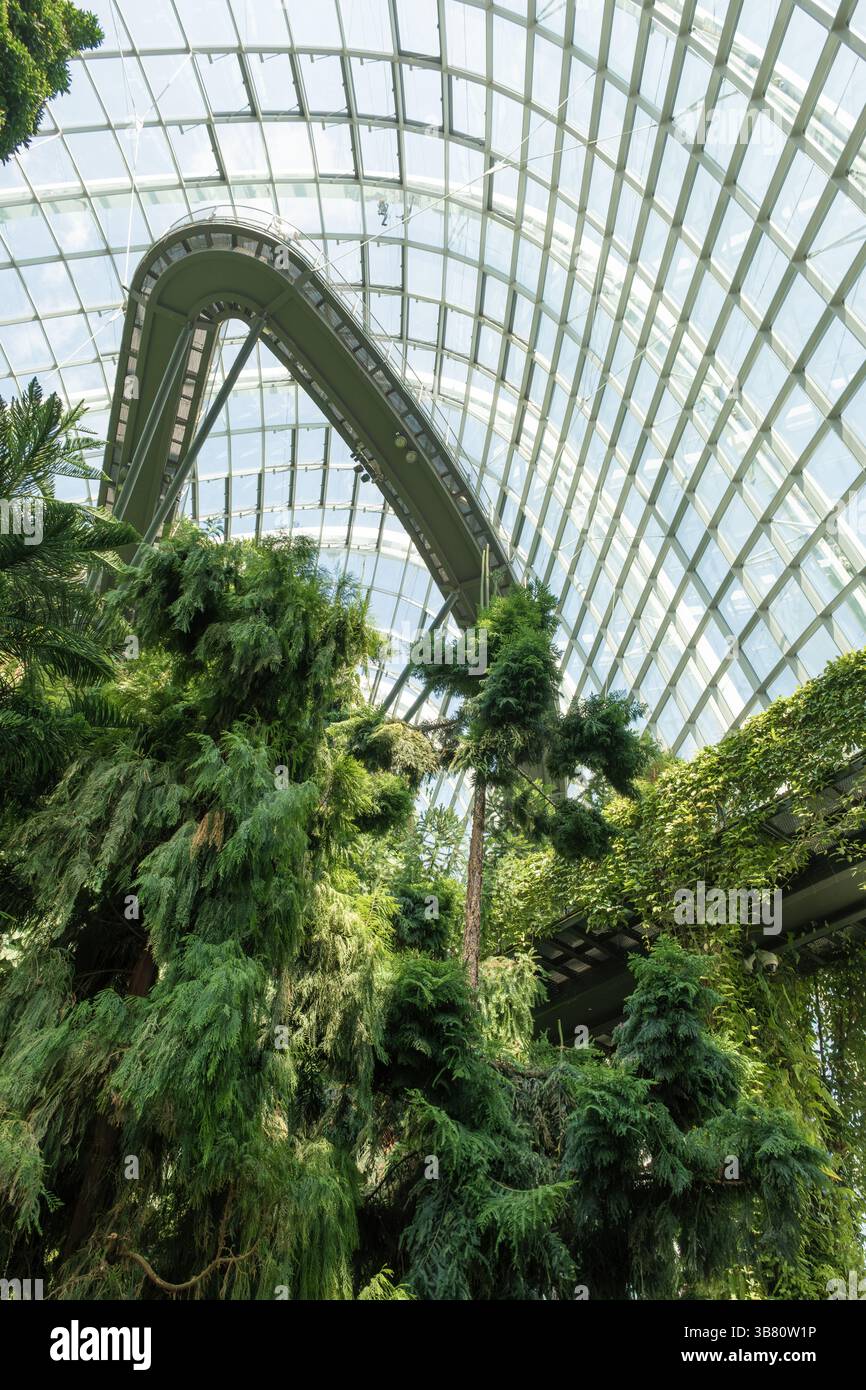 Lush greenery and suspended walkways inside the Cloud Forest Dome at ...