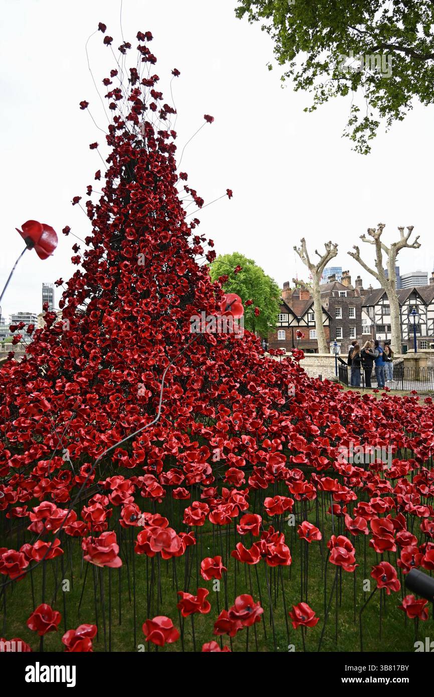 About 30,000 ceramic red poppies are on display at the Tower of London ...