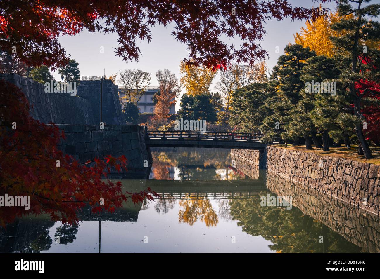 Japan, Kyoto City, Nijo Castle, Ninomaru Palace, gardens Stock Photo ...