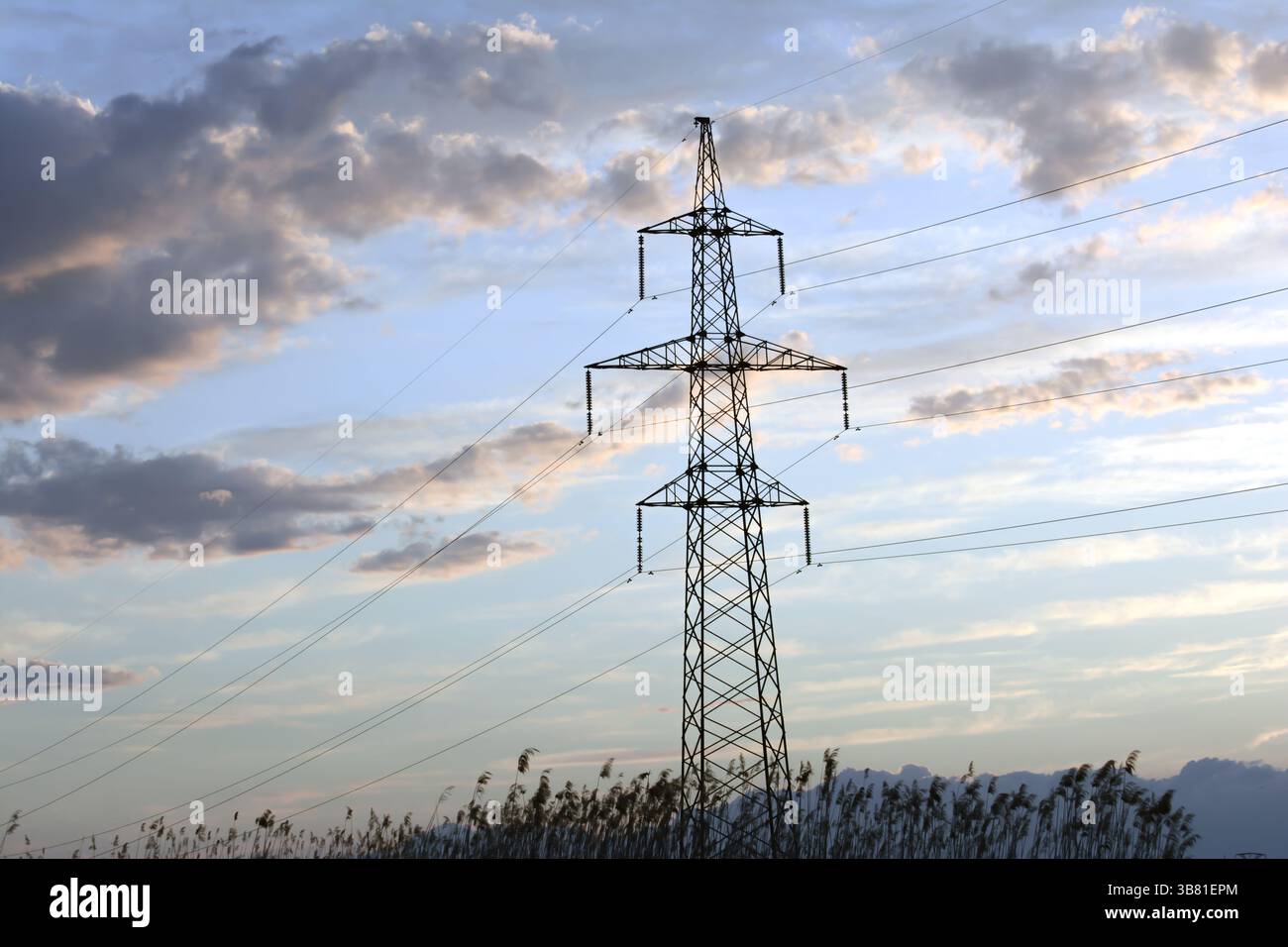 High voltage power lines and electricity transmission. Towers for ...