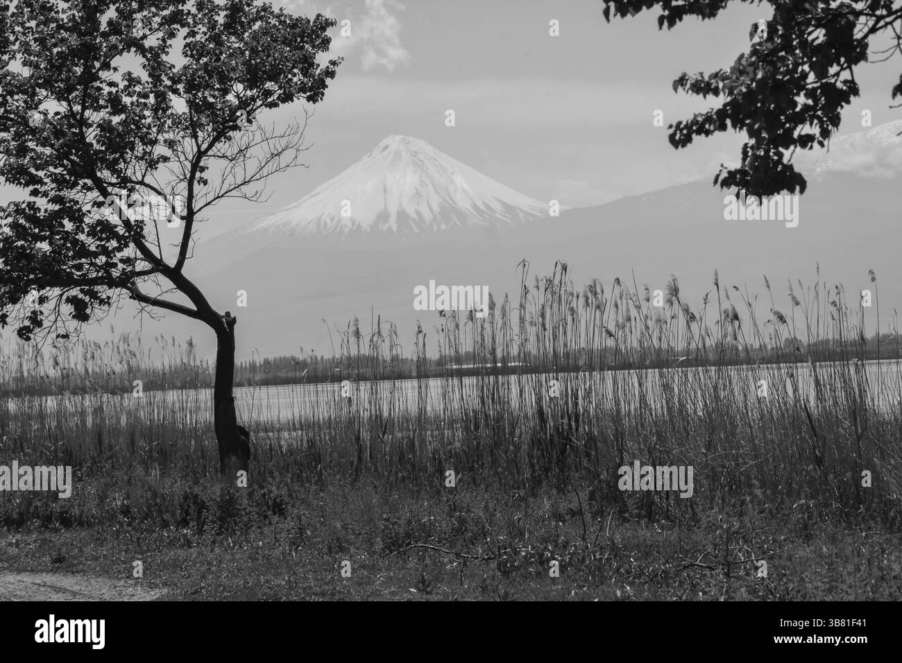 Beautiful volcanic mountain with view of lake and forests. Natural ...