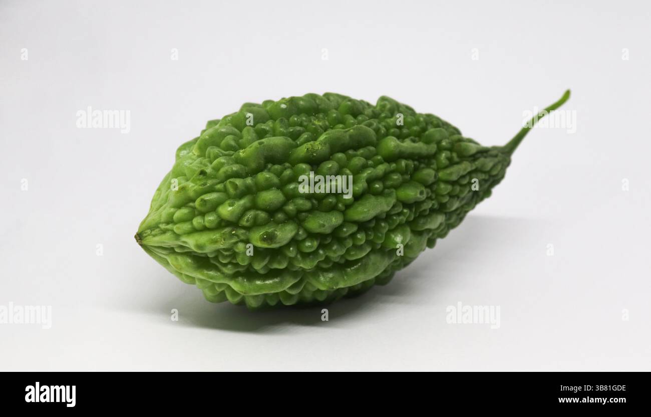 Detailed close up depicts the texture of a whole bitter melon, its ...