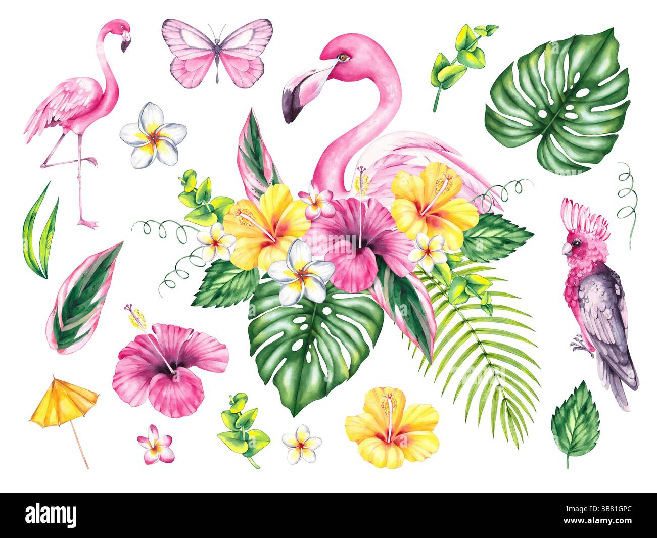 Flamingo watercolor bird illustration, pink flamingo and tropical ...