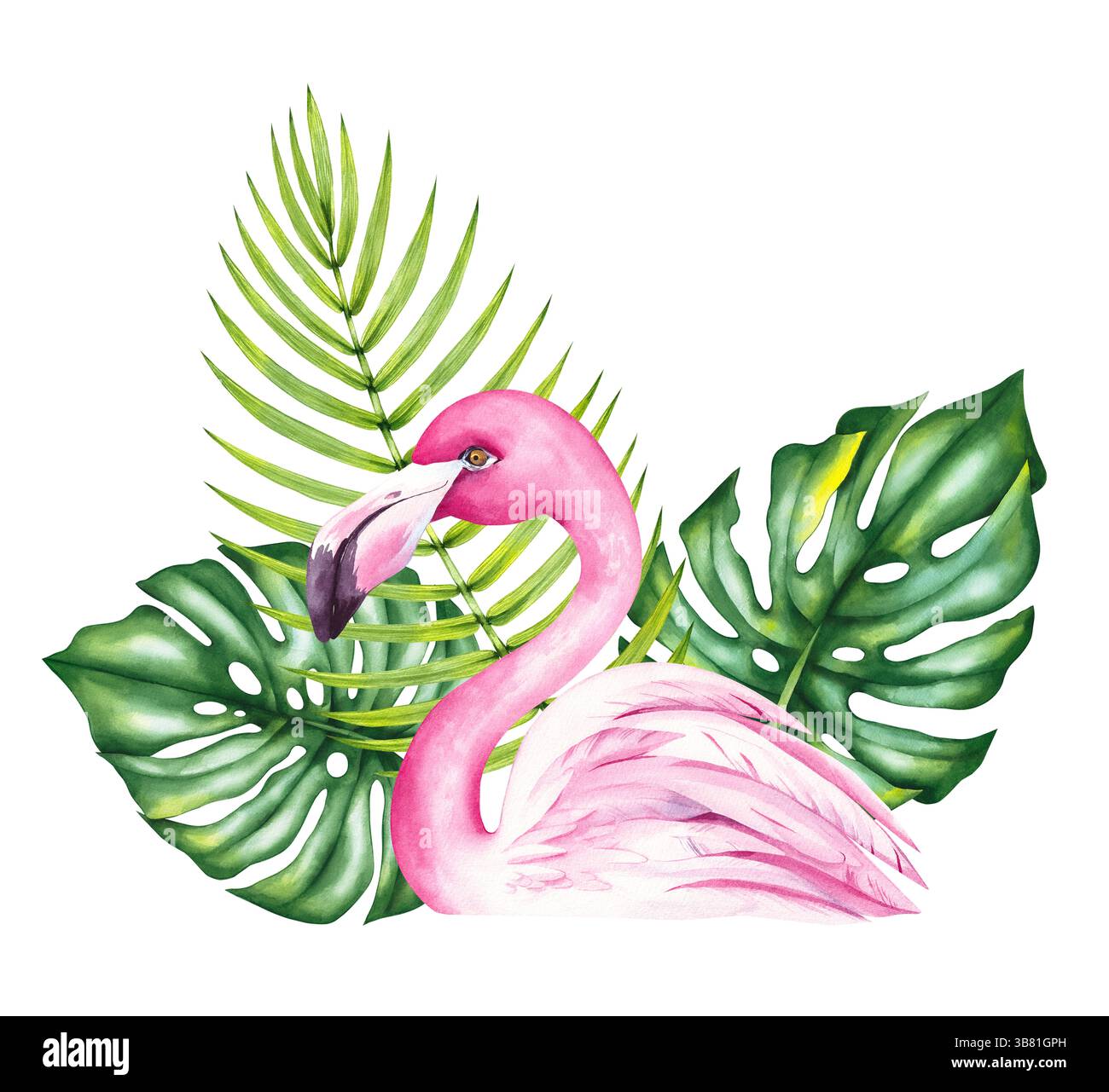 Flamingo with umbrella Cut Out Stock Images & Pictures - Alamy