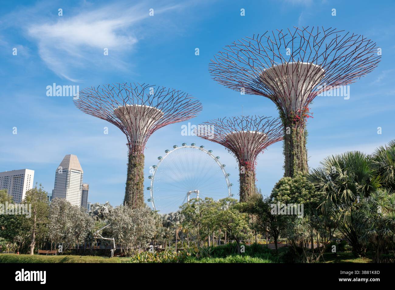 Supertree Grove at Gardens by the Bay in Singapore, featuring ...