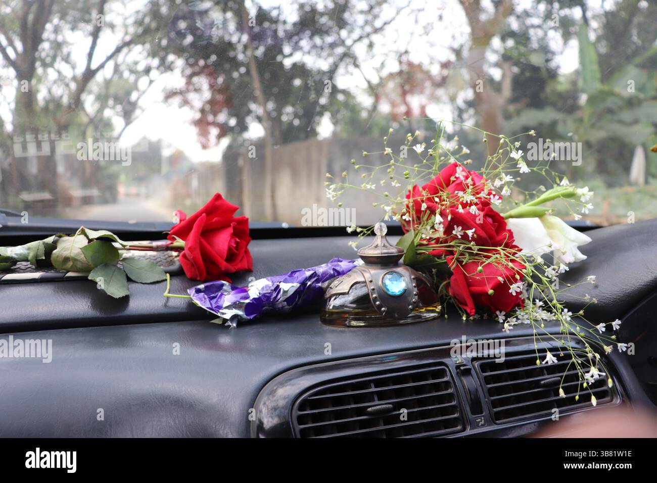 Eye-level, medium shot shows a bouquet of red roses and baby's breath ...