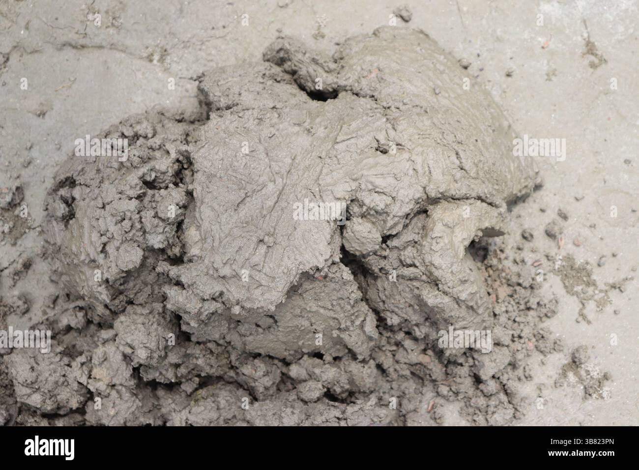 Detailed close-up exhibits a mound of moist gray clay soil positioned ...