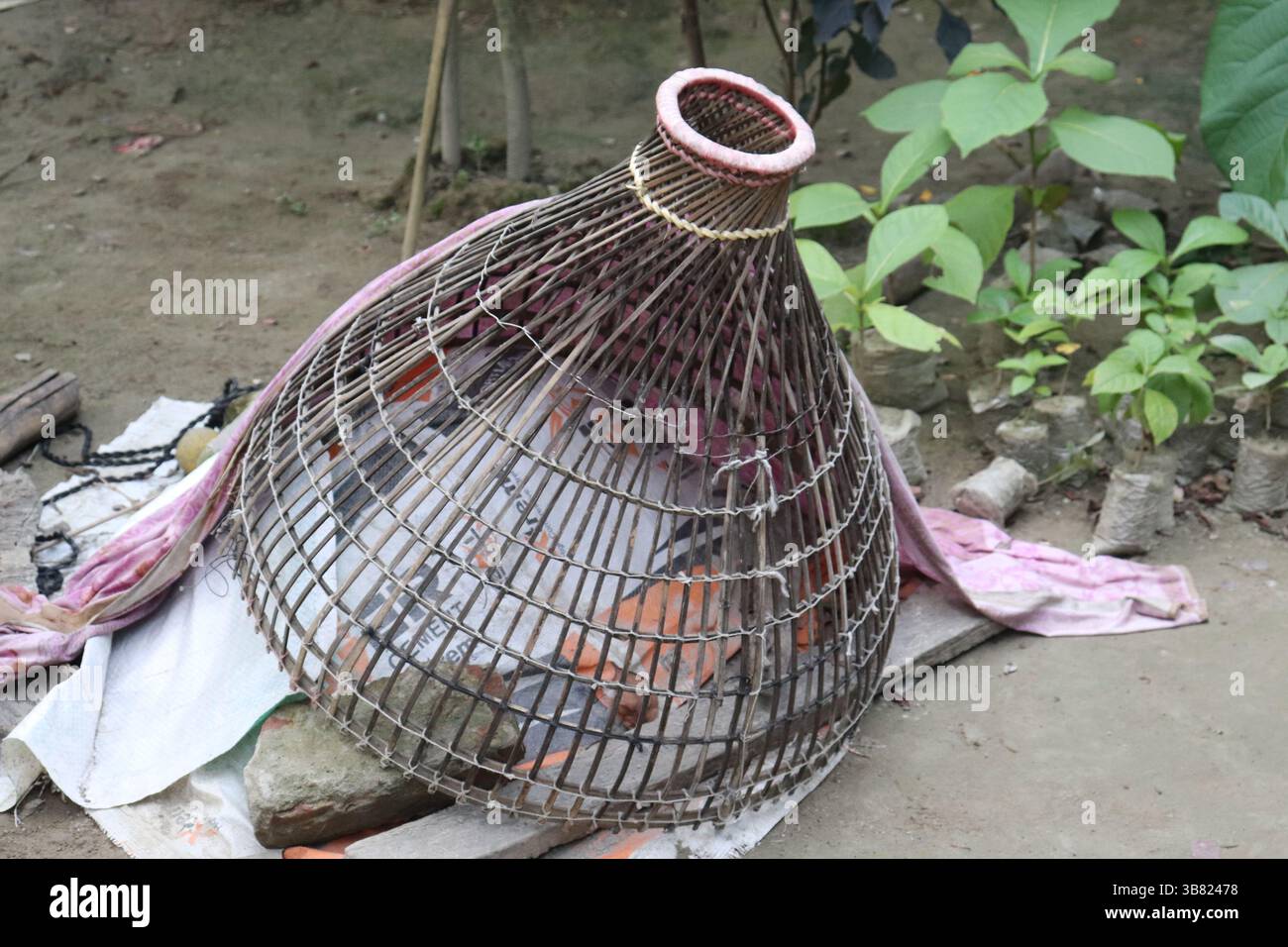 Close up of an old bamboo fish trap with pink cloth on it surrounded by ...