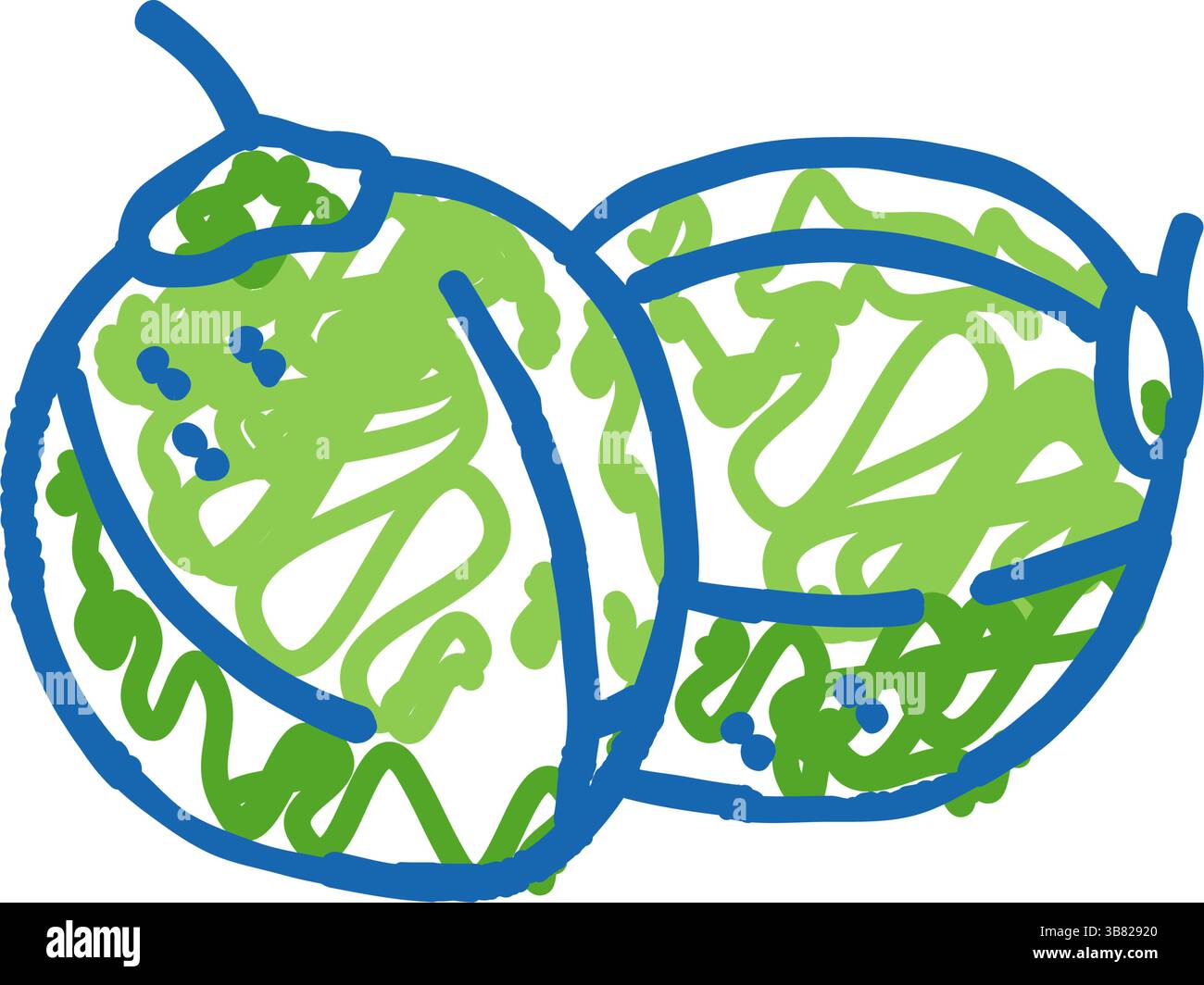 green coconut coco icon doodle illustration Stock Vector Image & Art ...