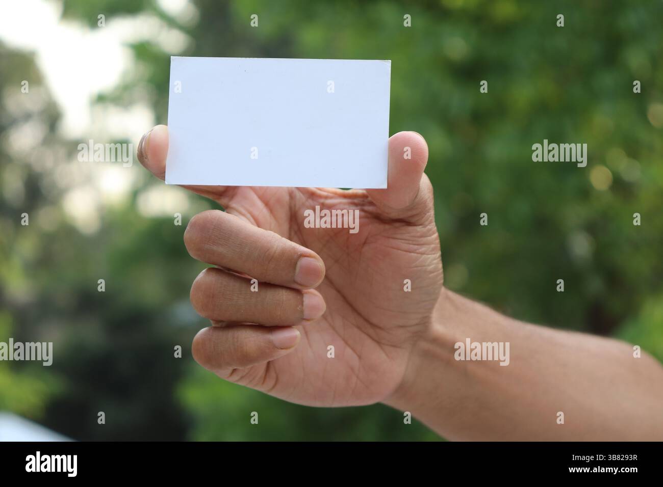 A close-up captures a light-skinned hand holding a pristine, blank ...