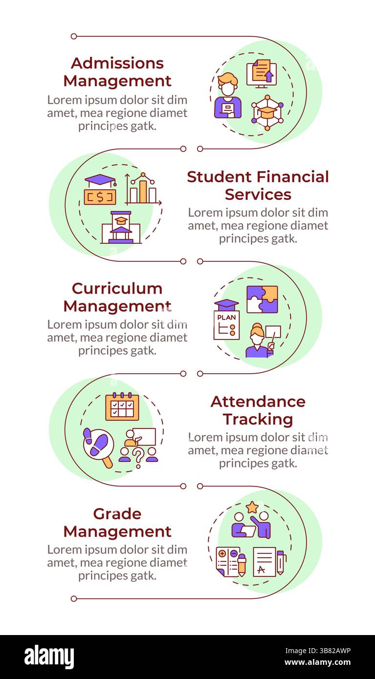 School management services infographic vertical sequence Stock Vector ...