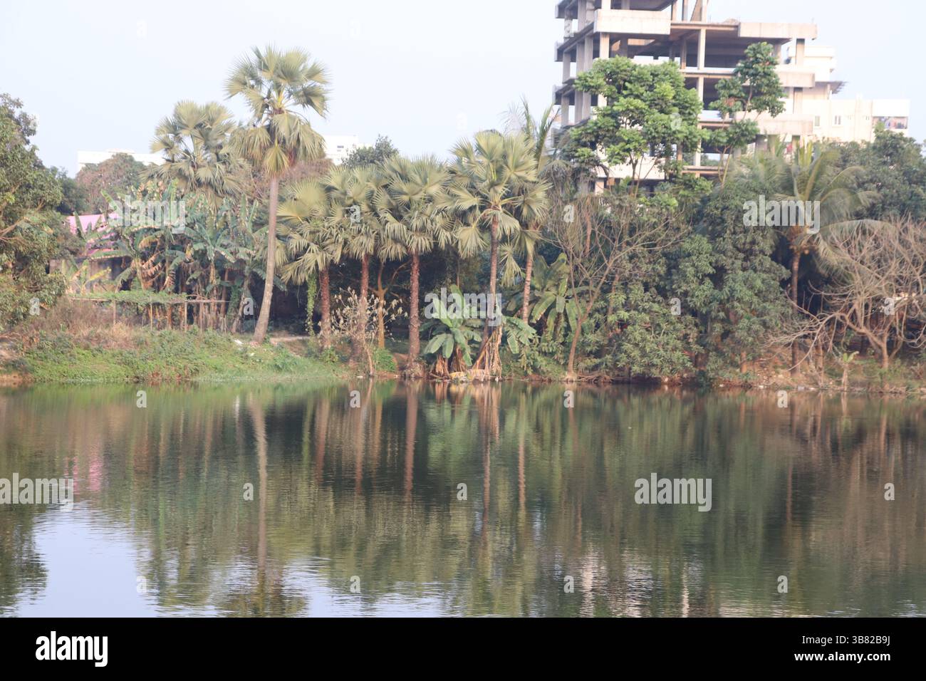 Captures a serene landscape featuring a reflective pond with the mirror ...