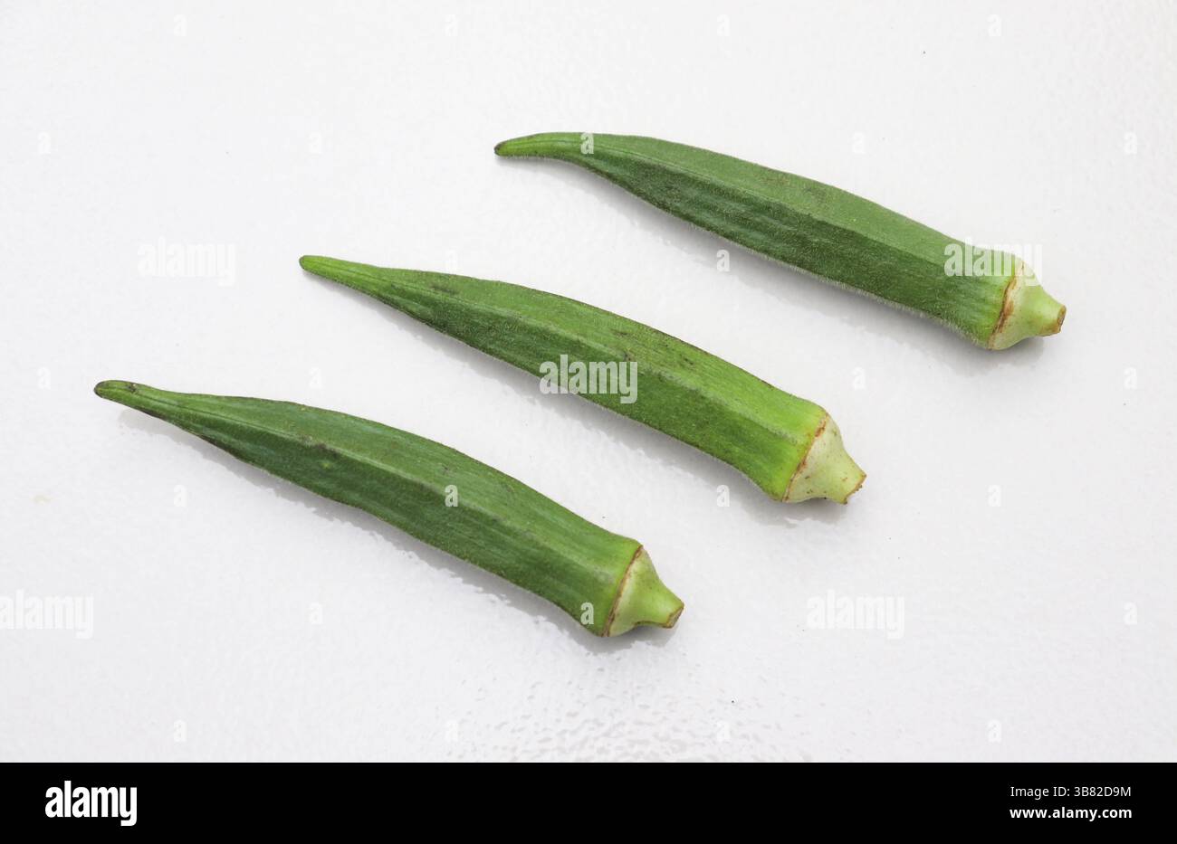 Three green, fresh okra pods are aligned diagonally from left to right ...