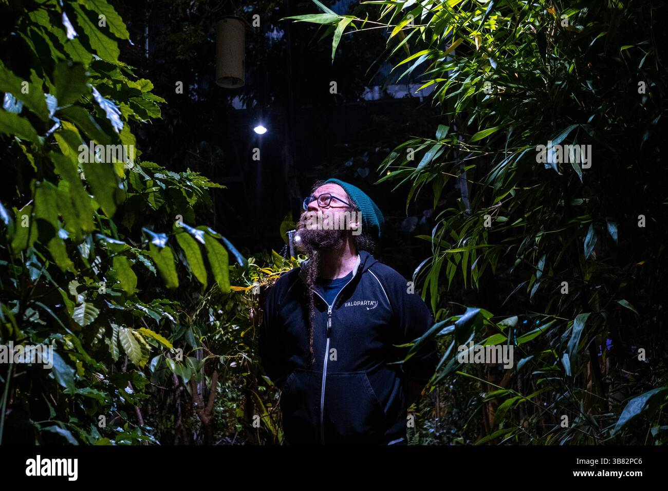 Artist Kari Kola who took over Botania Park in 2018 to turn it into a ...