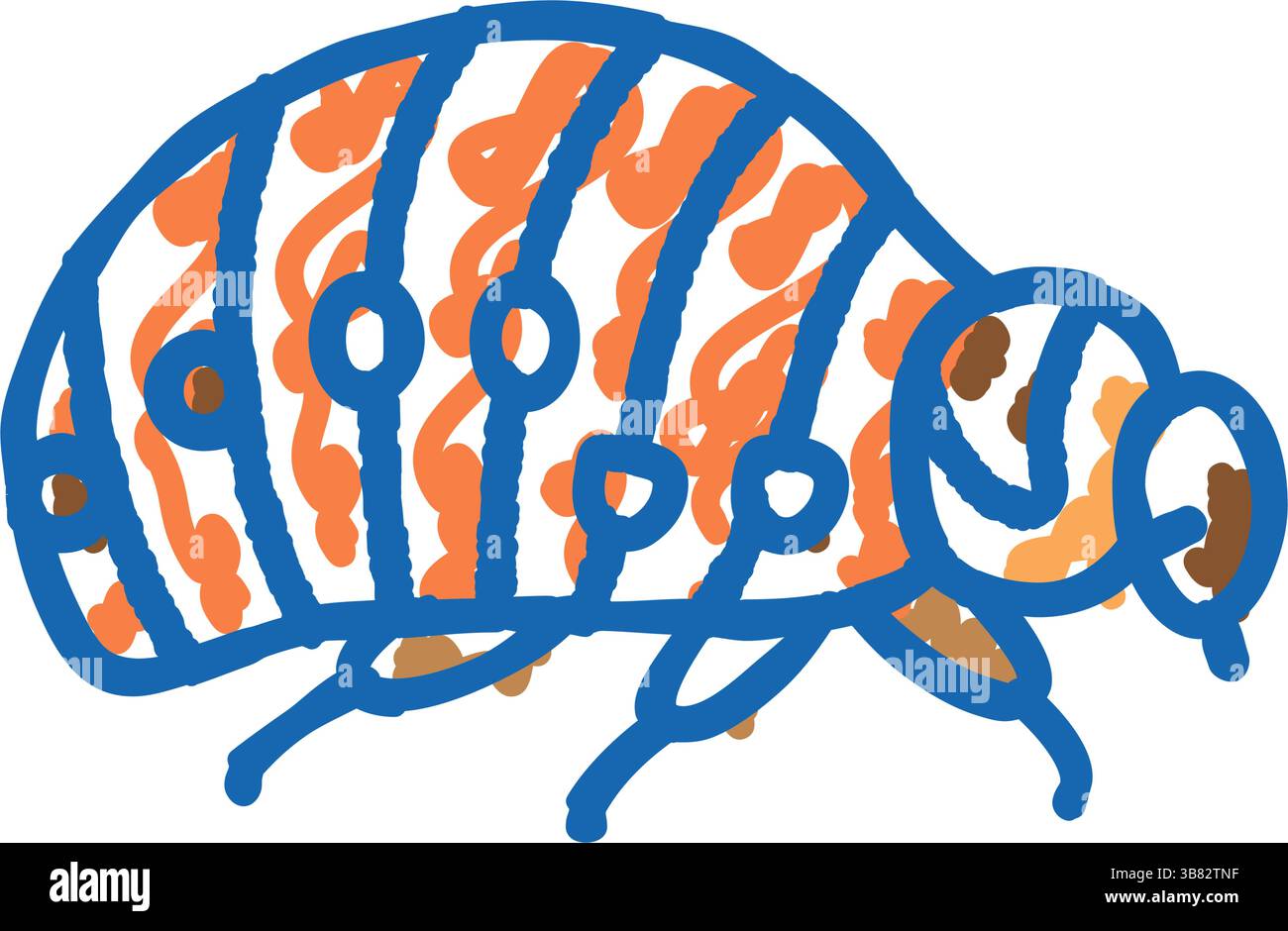 red larva colorado beetle icon doodle illustration Stock Vector Image ...