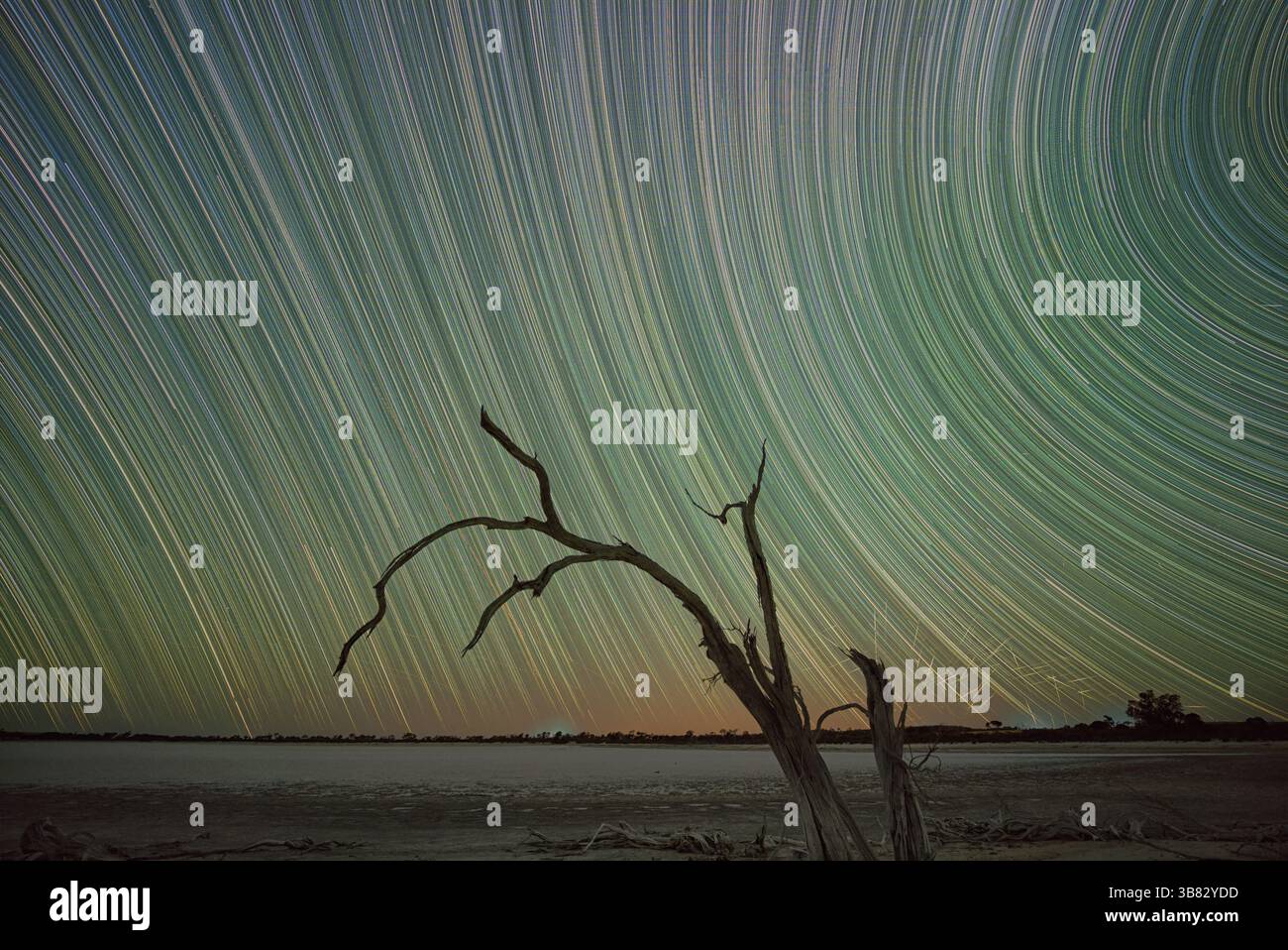 Equatorial star trails recorded at Yenning Lakes, Western Australia ...