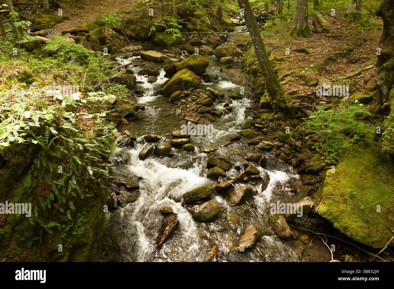 Spring streams in mountains hi-res stock photography and images - Alamy