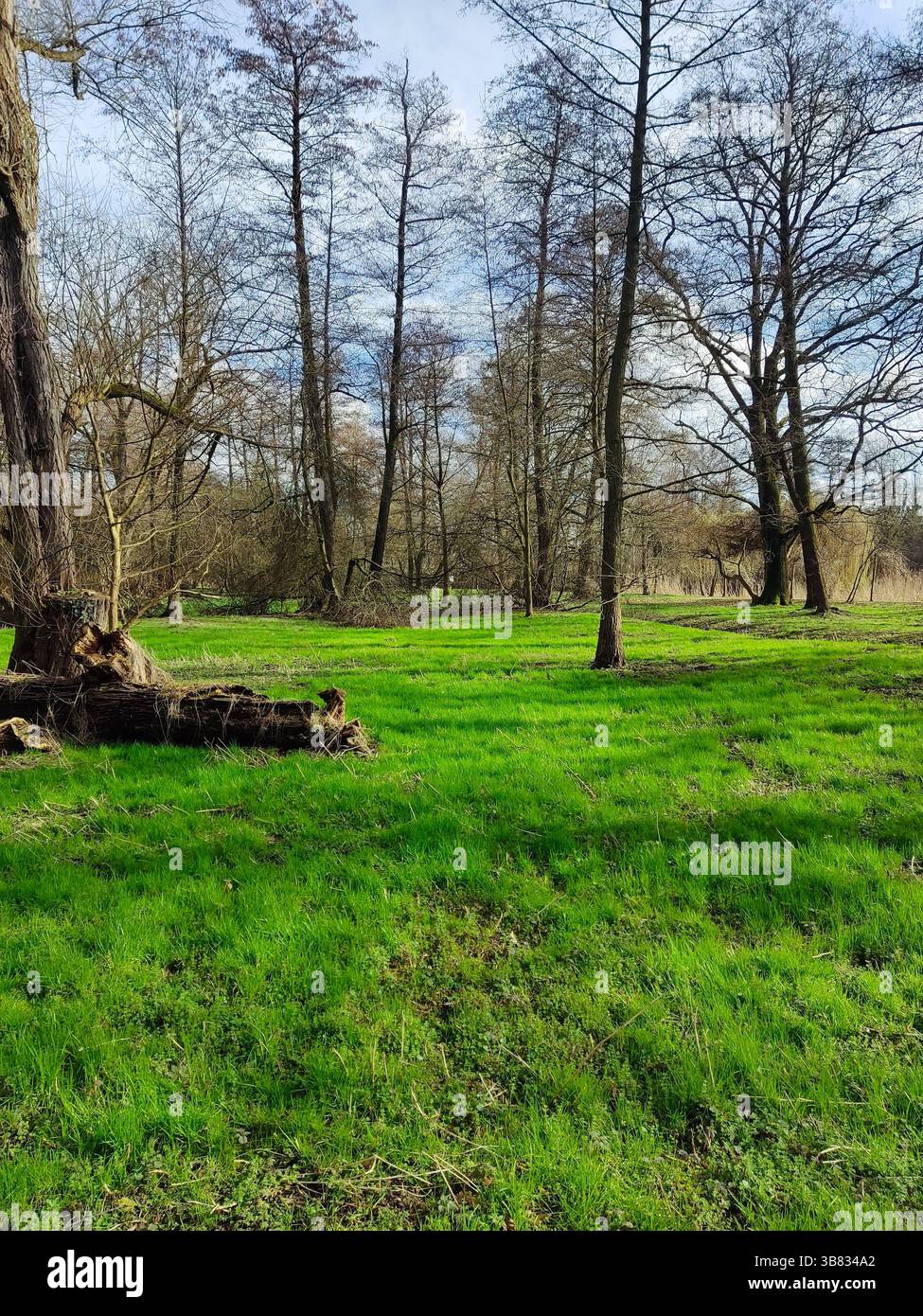 Wschodni park hi-res stock photography and images - Alamy