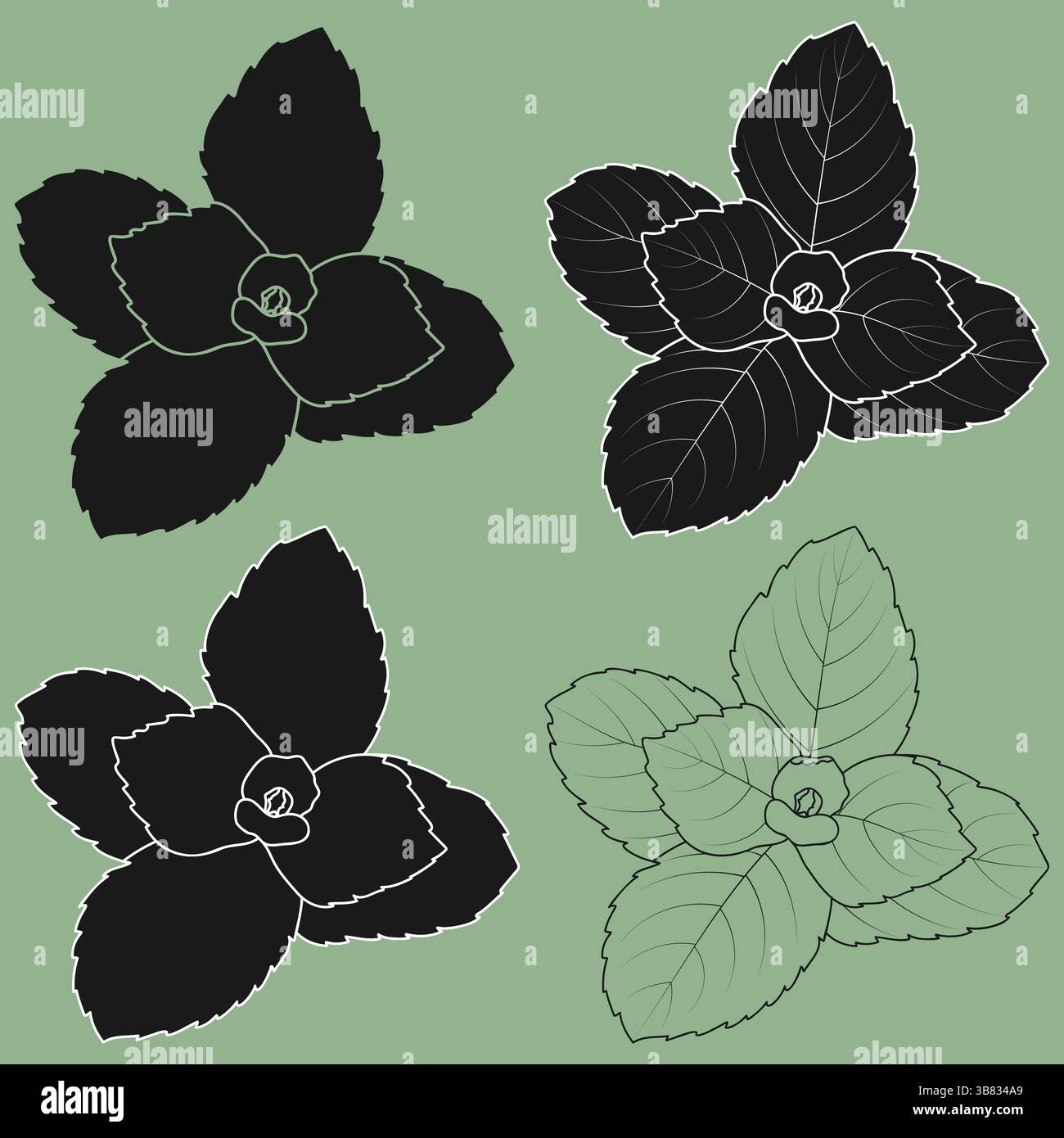 Peppermint Herb Spice Mint Leaf Outline Silhouette Stock Vector Image ...