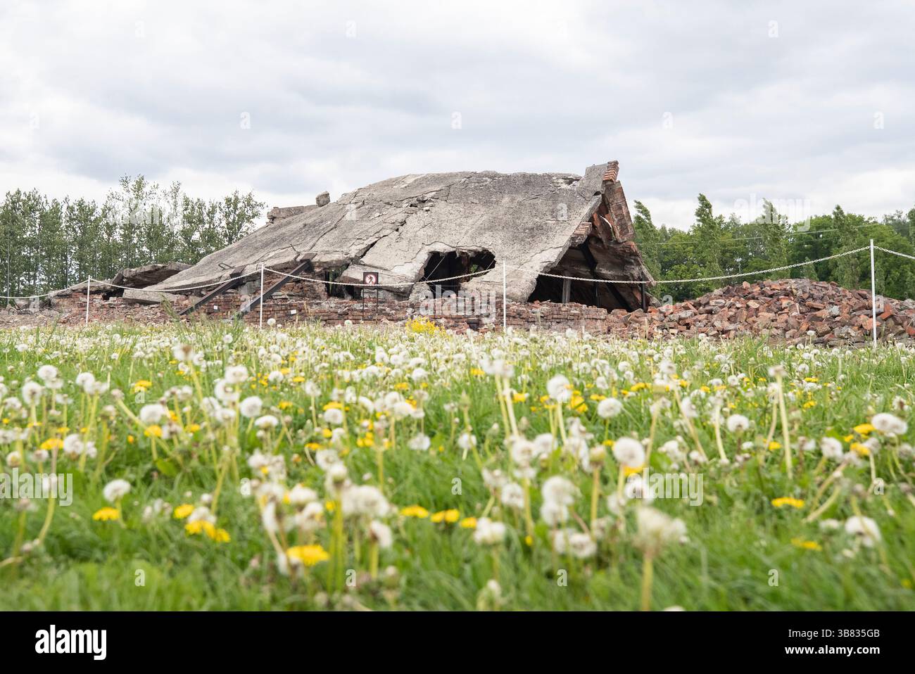 (250507) -- KRAKOW, May 7, 2025 (Xinhua) -- This photo taken on May 6 ...