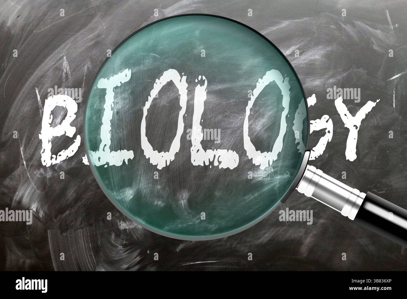 Biology - learn, study and inspect it. Taking a closer look at biology ...