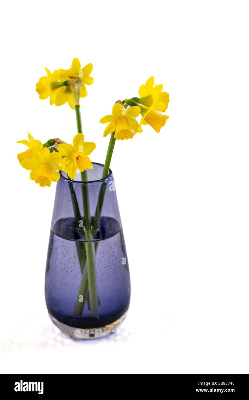 Springtime flower festival in Cut Out Stock Images & Pictures - Alamy