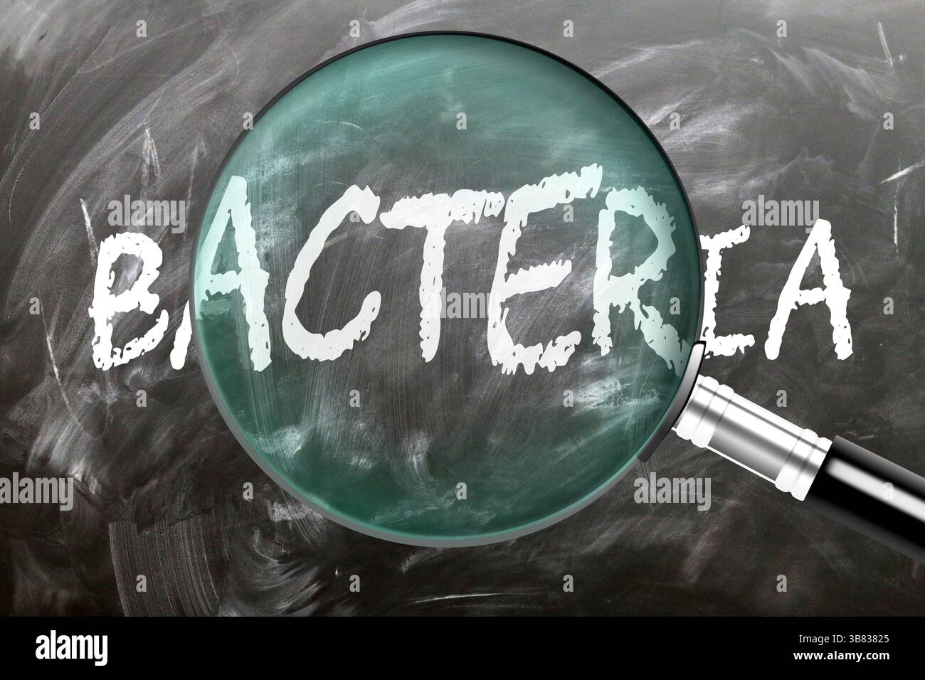 Bacteria - learn, study and inspect it. Taking a closer look at ...
