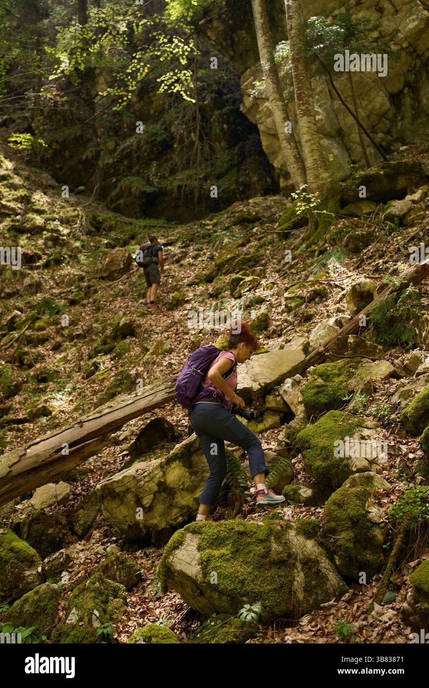 Two hikers climbing a steep mossy forest slope covered in rocks and ...