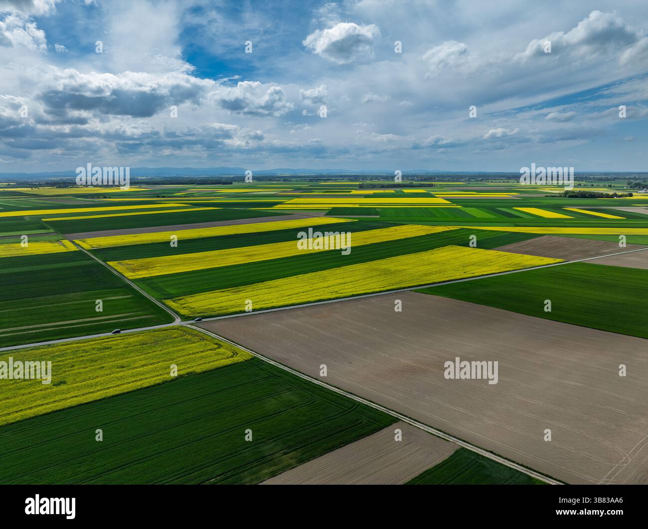 Aerial drone view beautiful fields of yellow rapeseed.Village country ...