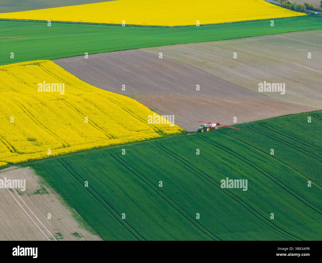 Aerial view vast yellow rapeseed hi-res stock photography and images ...