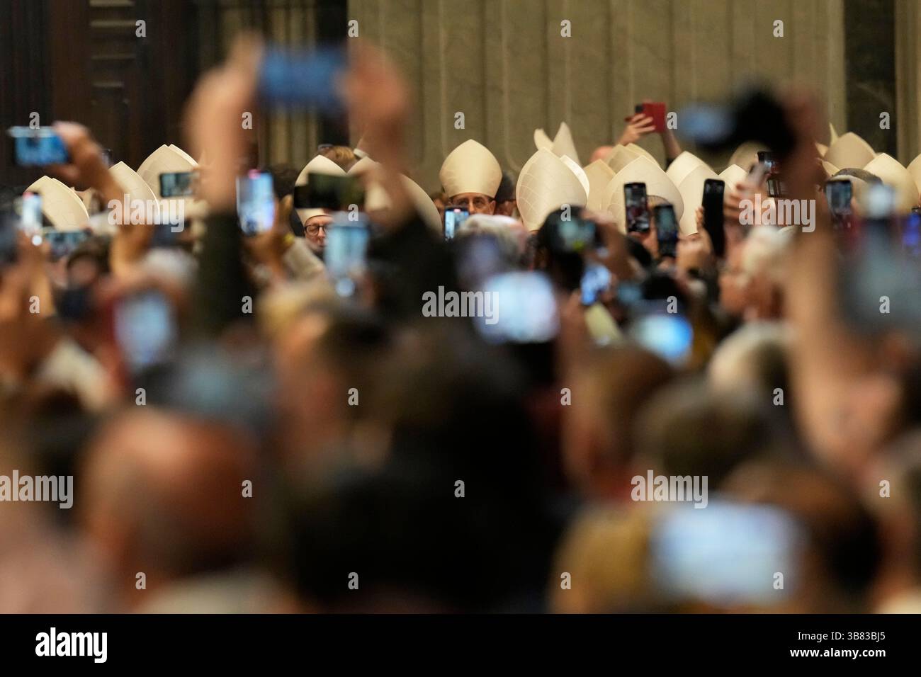 Faithful capture images with their smartphones of cardinals during a ...