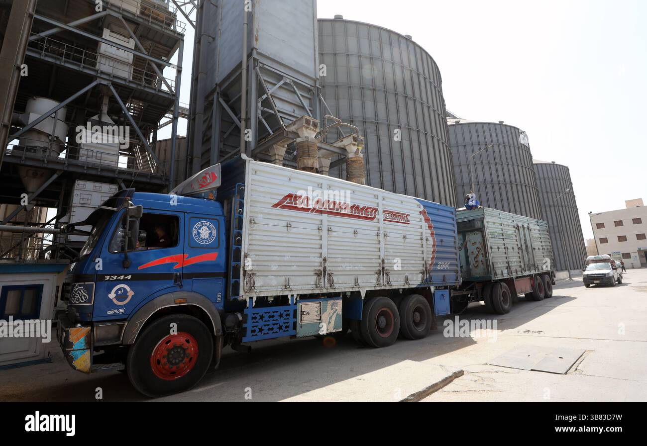 Wheat harvesting in Egypt Cargo vehicles at Banha wheat grain silos in ...