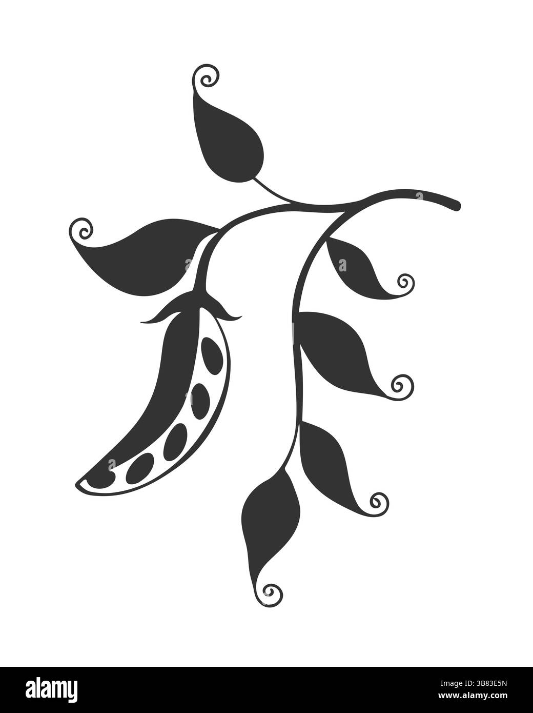 Pea plant drawing hi-res stock photography and images - Alamy