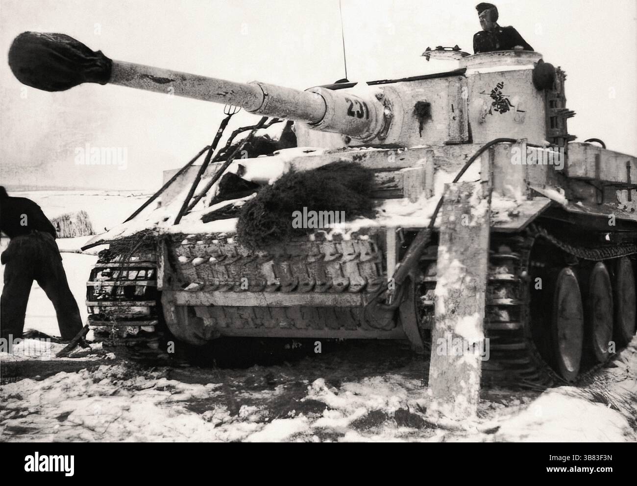 Tiger ‘231’ of the schwere Panzer-Abteilung 505 in Vitebsk sector ...