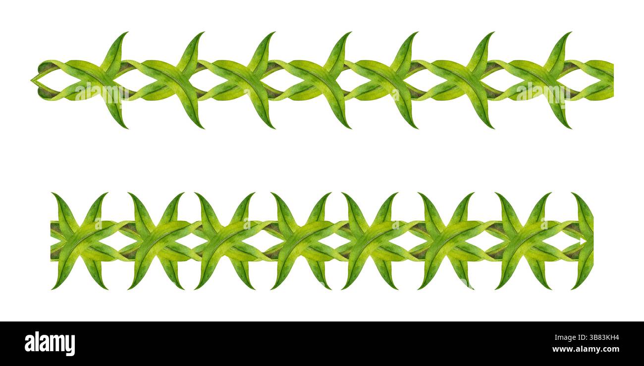 Set of watercolor green leaf swirls elements to create various seamless ...