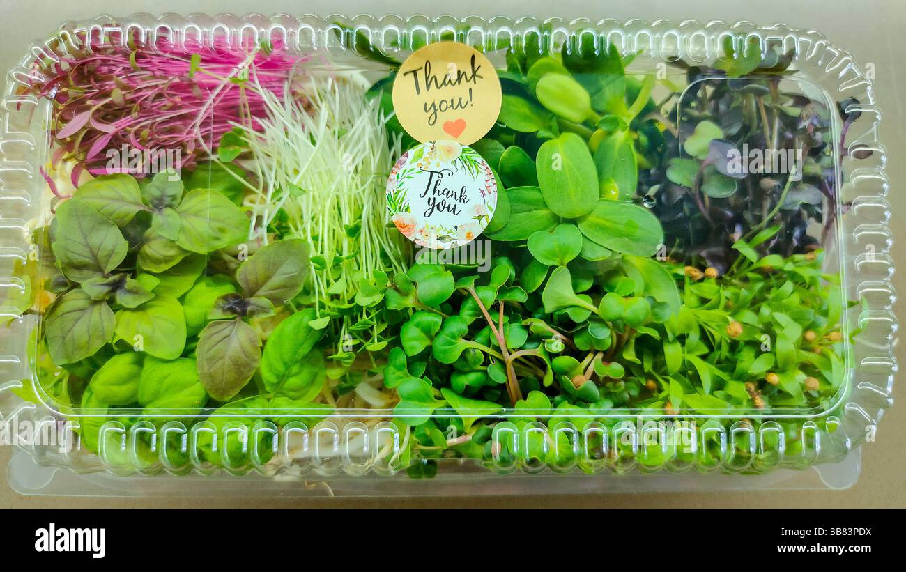 Mixedgreens hi-res stock photography and images - Alamy