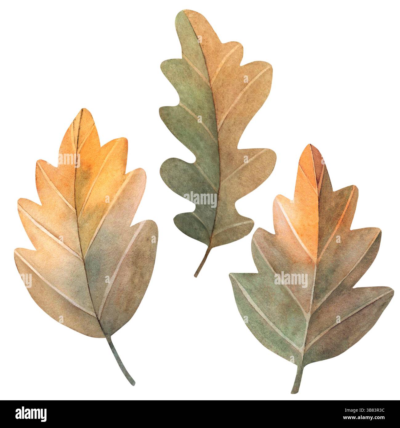 Warm seasonal vibes Cut Out Stock Images & Pictures - Alamy